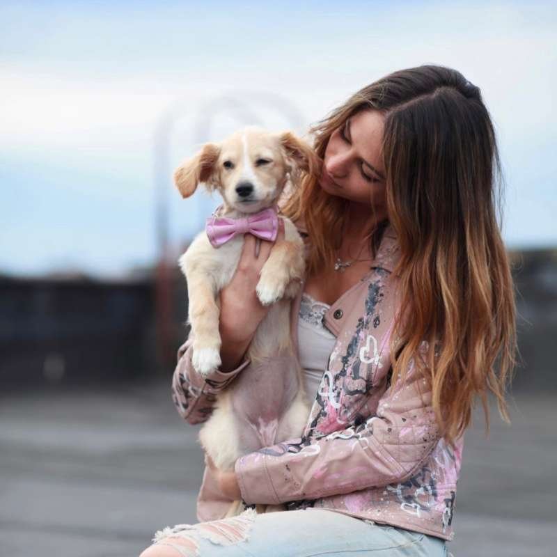 Episode 128: Shark Tank - an interview with Emily Strauss - Tick Boot Camp